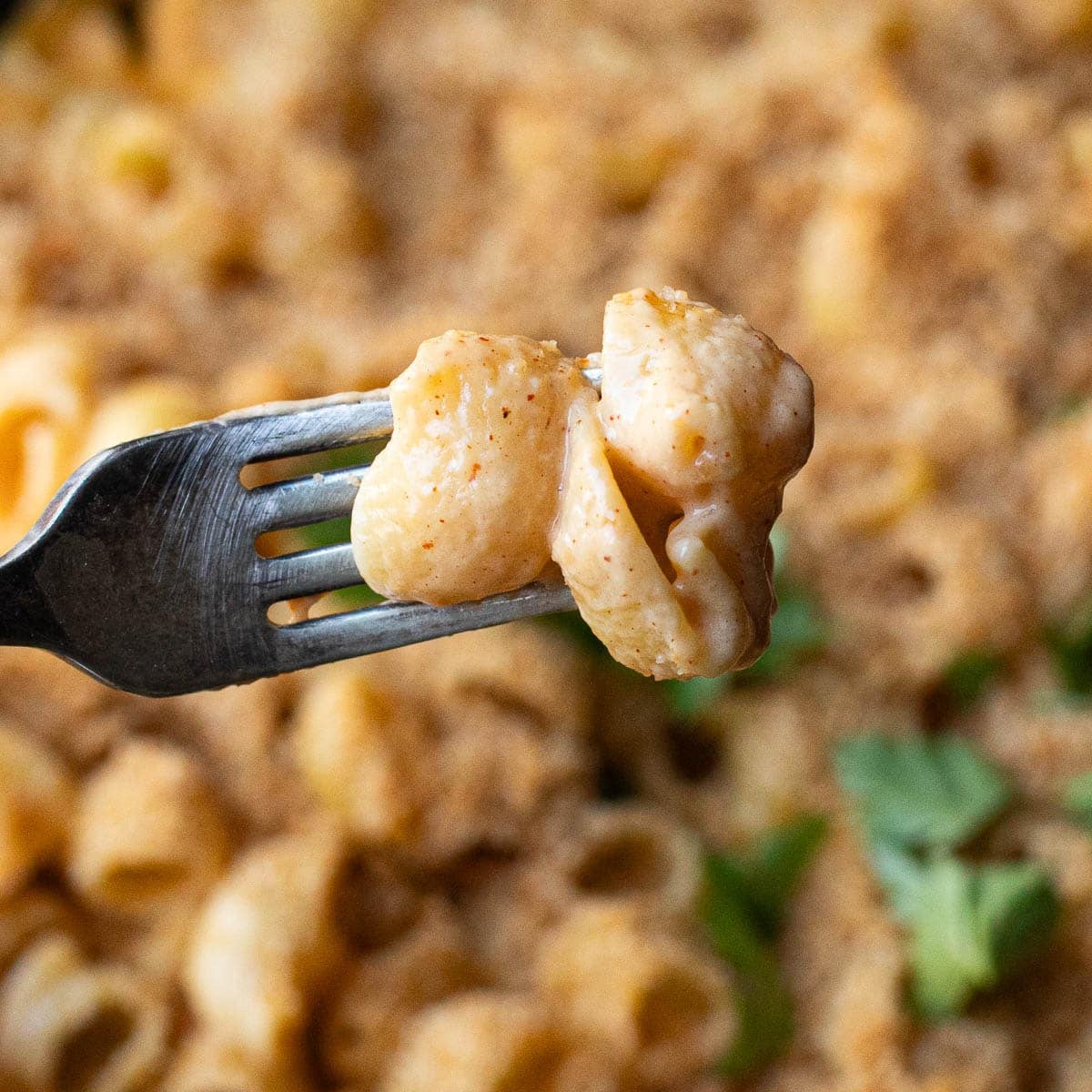 Steakhouse Mac and Cheese Recipe (Outback Copycat)